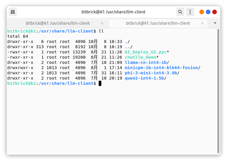 Running Large Language Models on K1 – BIT-BRICK